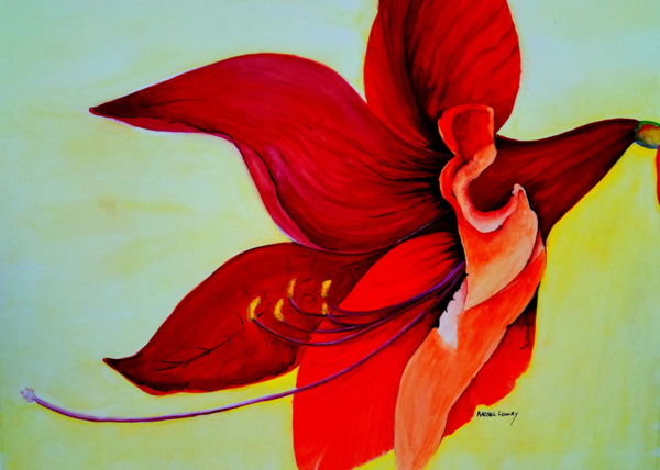 Rachel Lowry - Official Website